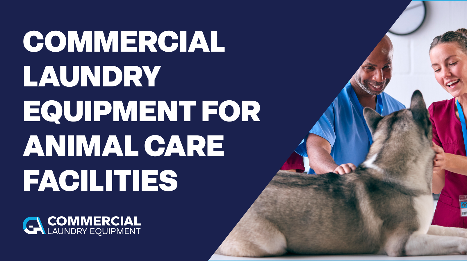 Commercial Laundry Equipment for Animal Care Facilities – GA Commercial